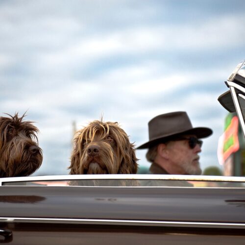 Understanding Third Party Liability in a Truck Accident - Herbert Law ...